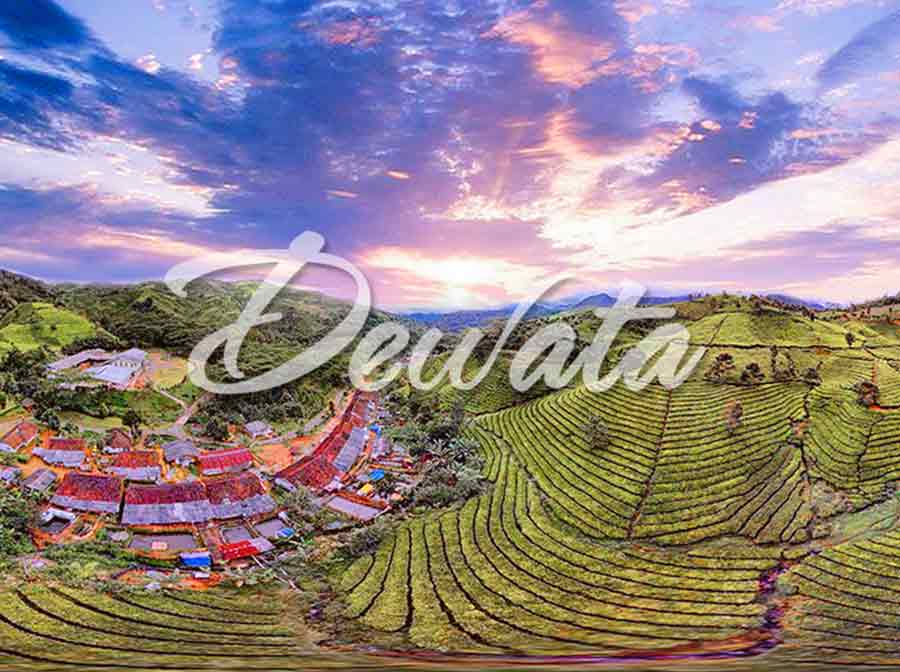 Dewata Tea Plantation VR - Singapore's Premier XR & AI Tech Solutions ...